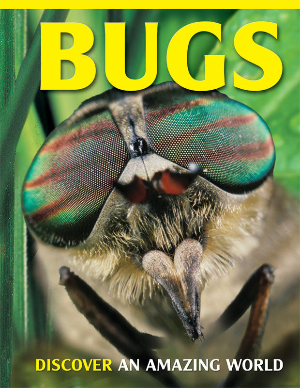 BUGS : Discover an amazing world – Book Mart W.L.L